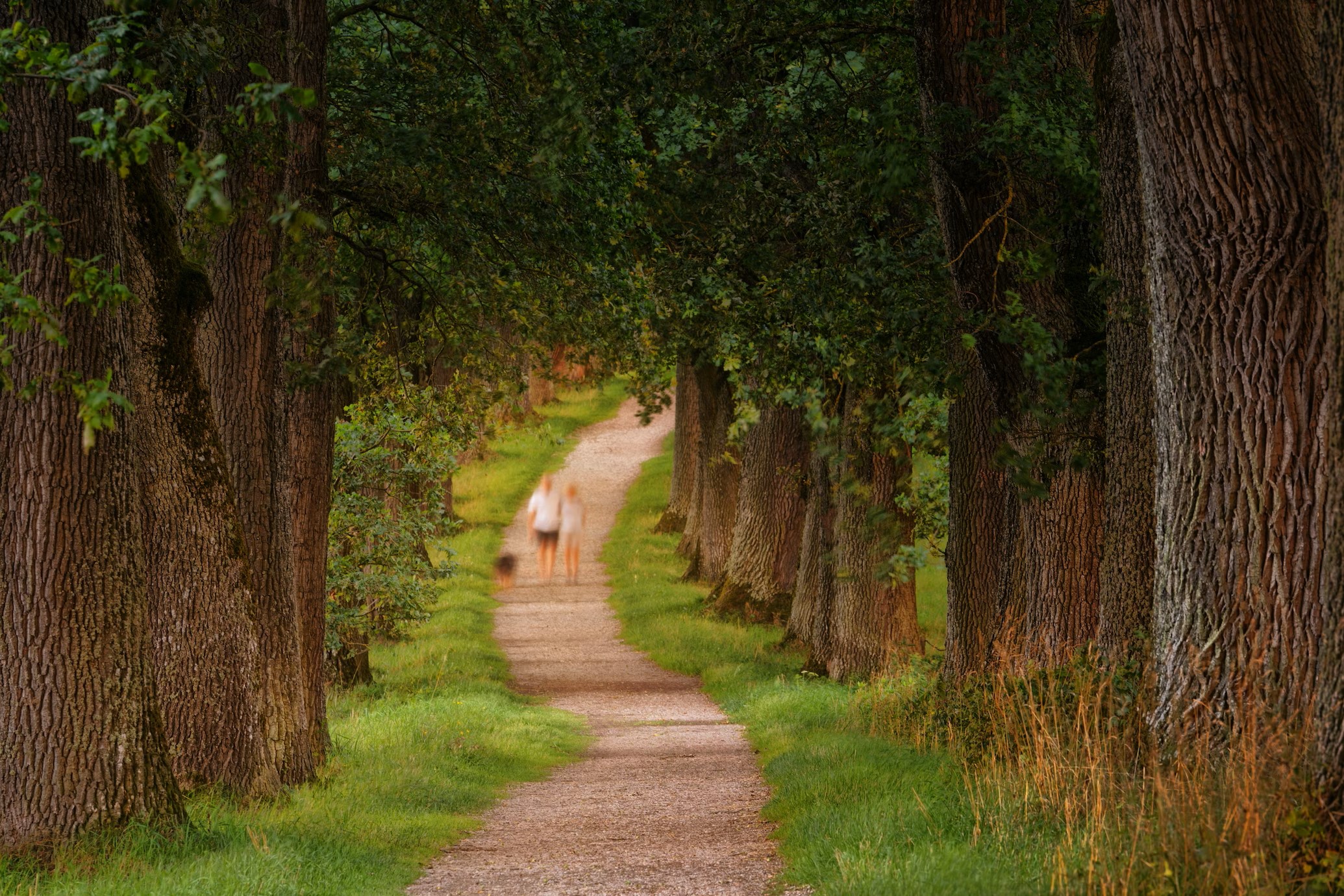 Favourite Bible passages - Diamond Valley Baptist Church